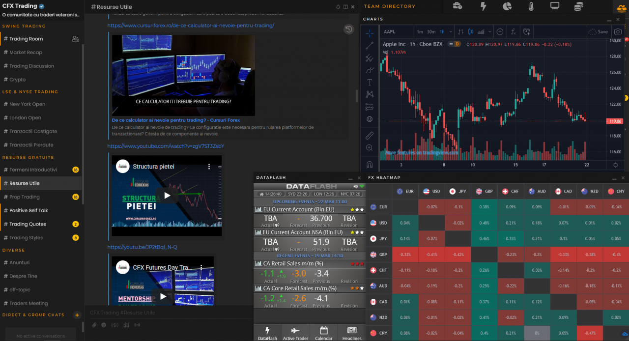 Cursuri Forex Online - De la Traderi pentru Traderi